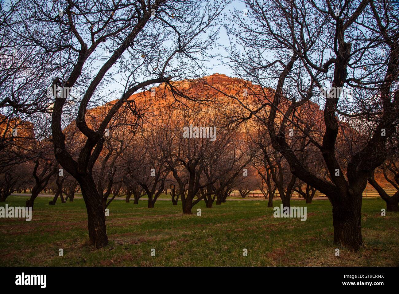Orchard and mesas hi-res stock photography and images - Alamy