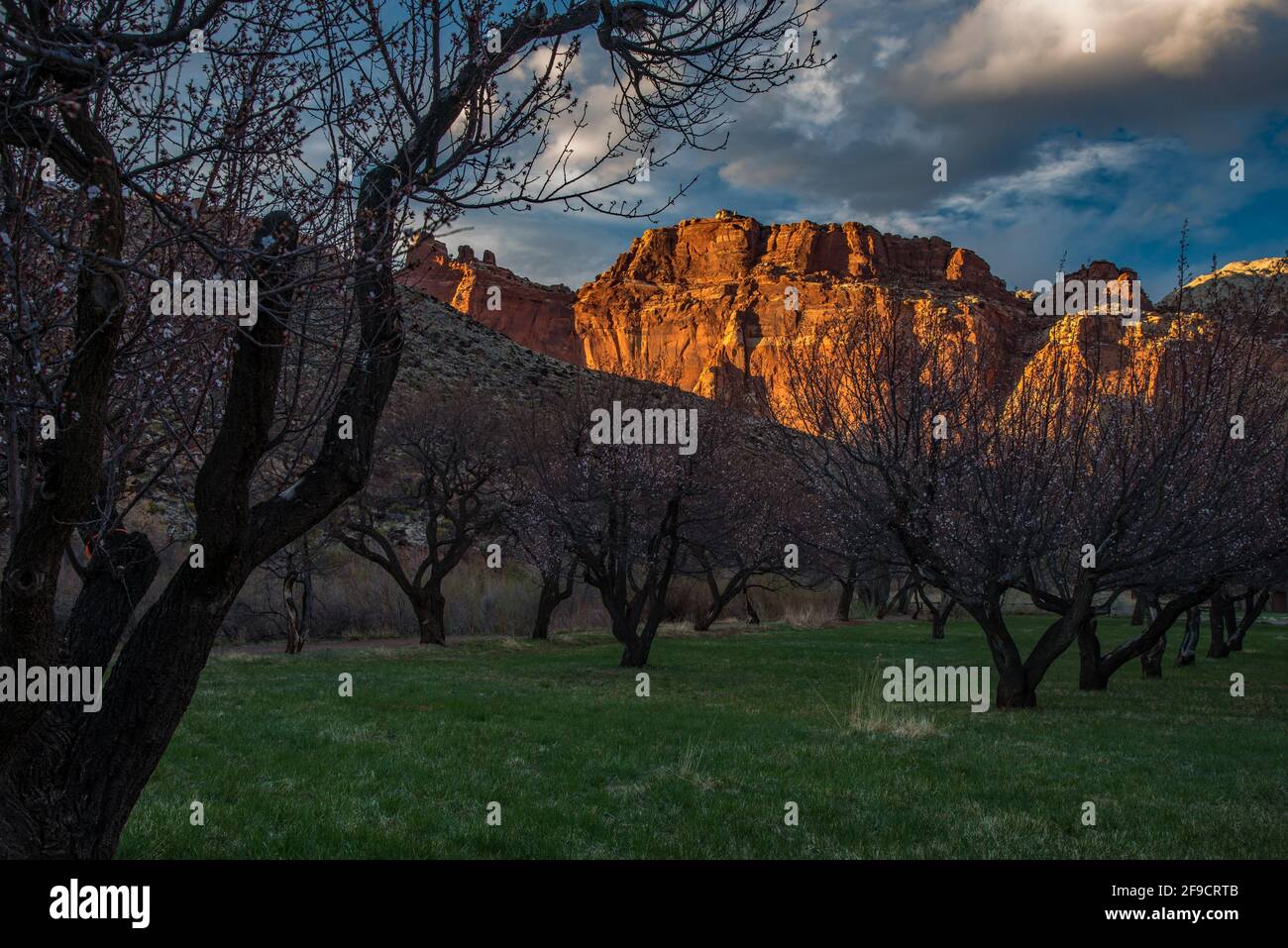 Orchard park usa hi-res stock photography and images - Alamy