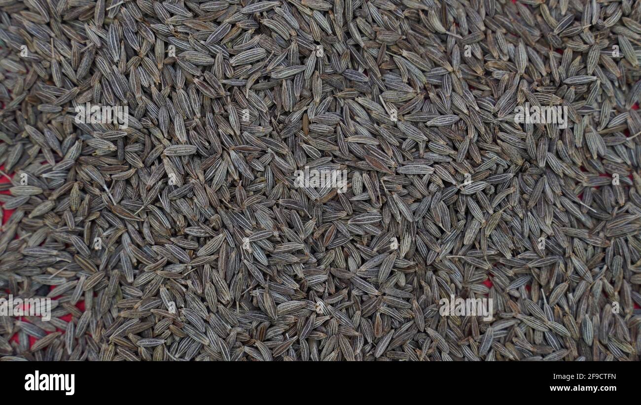 Top view of a pile of dry fresh cumin seeds Stock Photo - Alamy