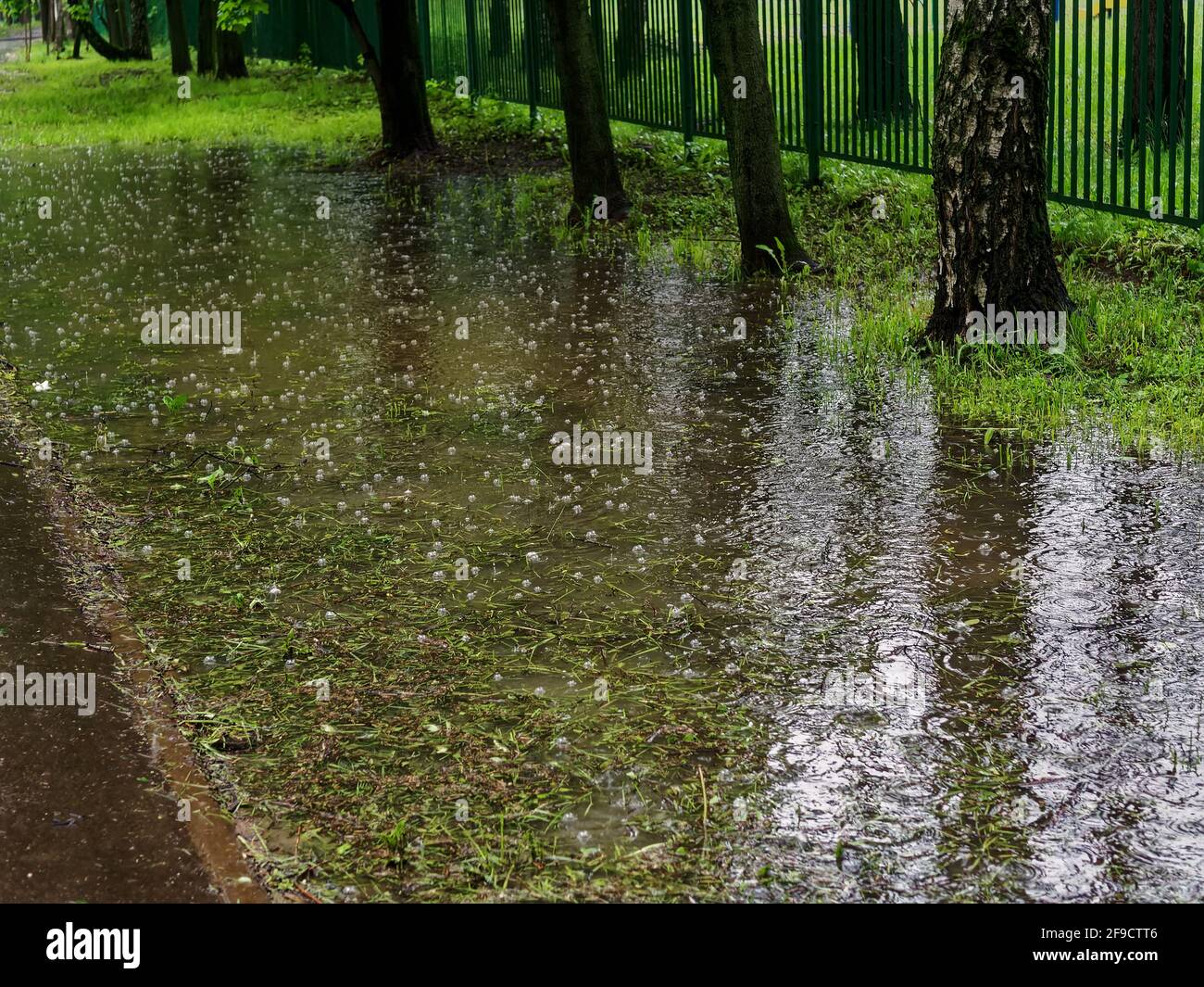 Rain falling in puddle park hi-res stock photography and images - Alamy