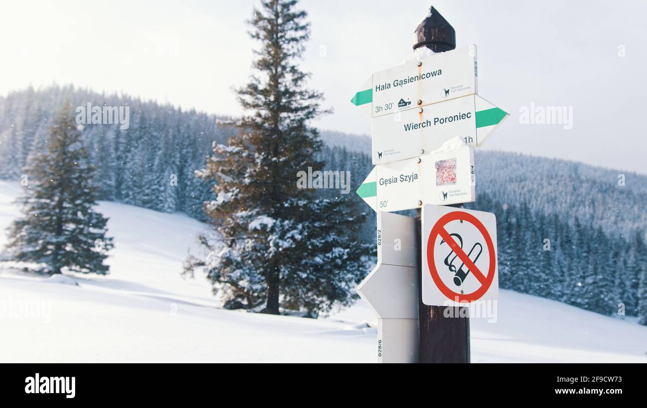 Direction signs on mountain covered in snow and evergreen forest. High ...