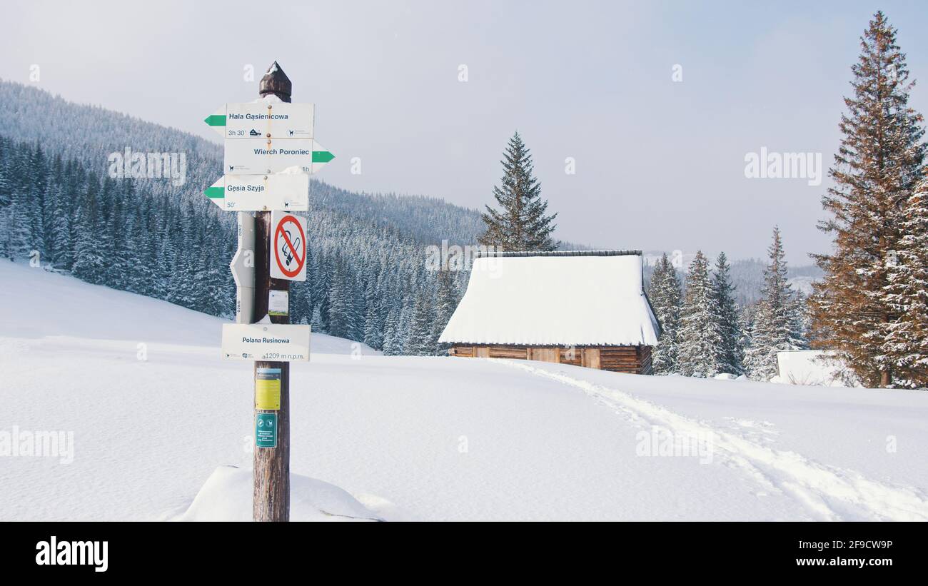 Direction signs on mountain covered in snow and evergreen forest. High ...