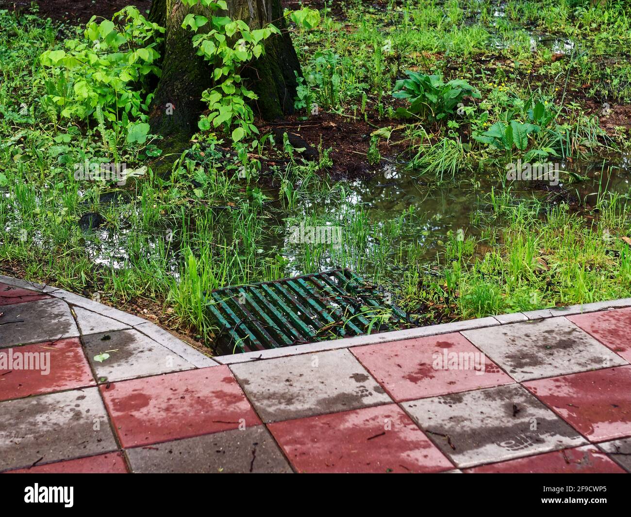 Drainage ditch mountain hi-res stock photography and images - Alamy
