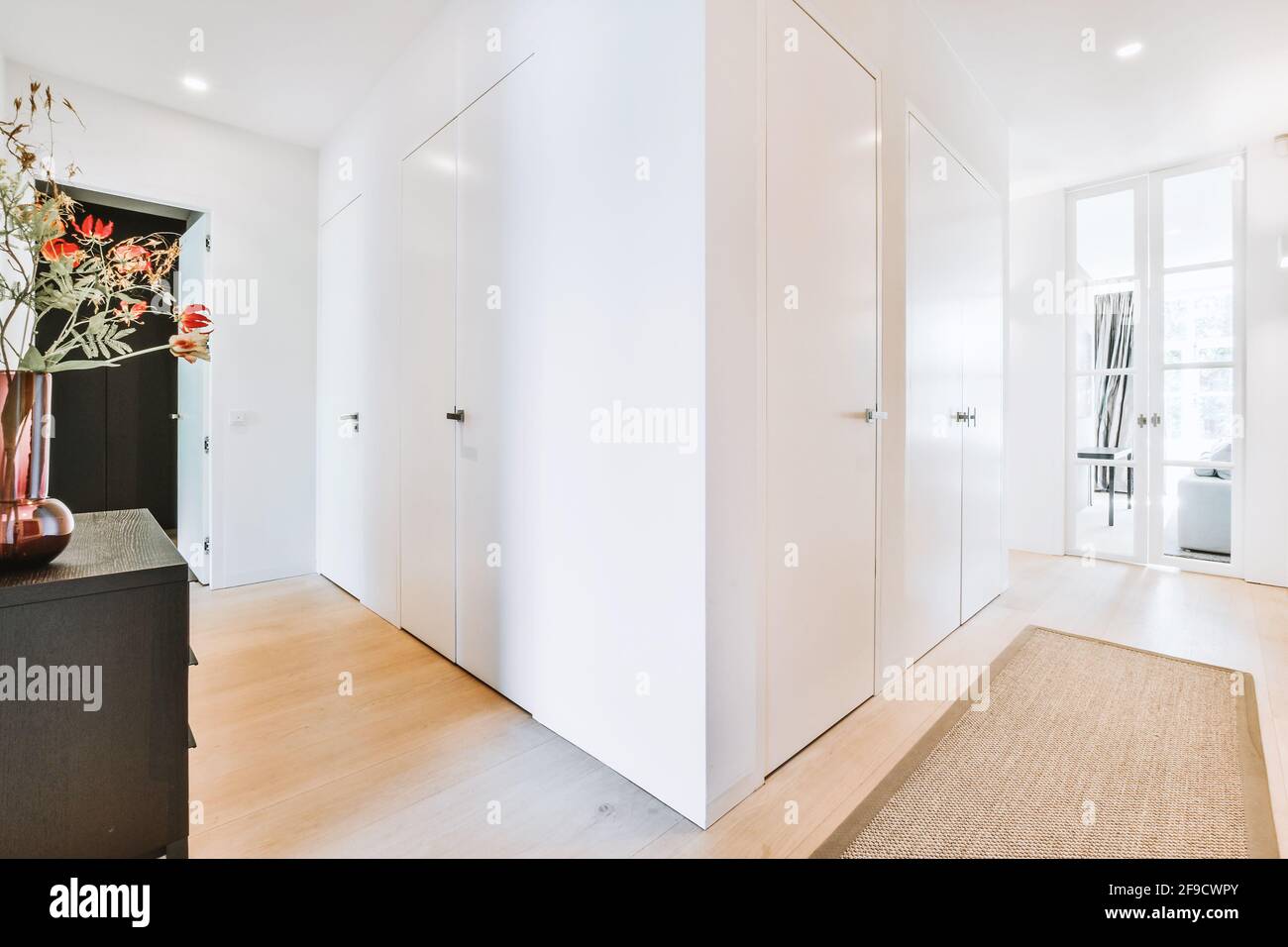 Spacious hall in modern apartment Stock Photo - Alamy