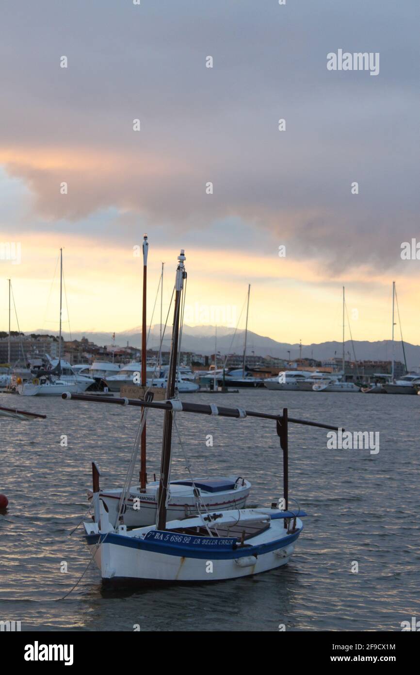 Hull fish dock hi-res stock photography and images - Alamy