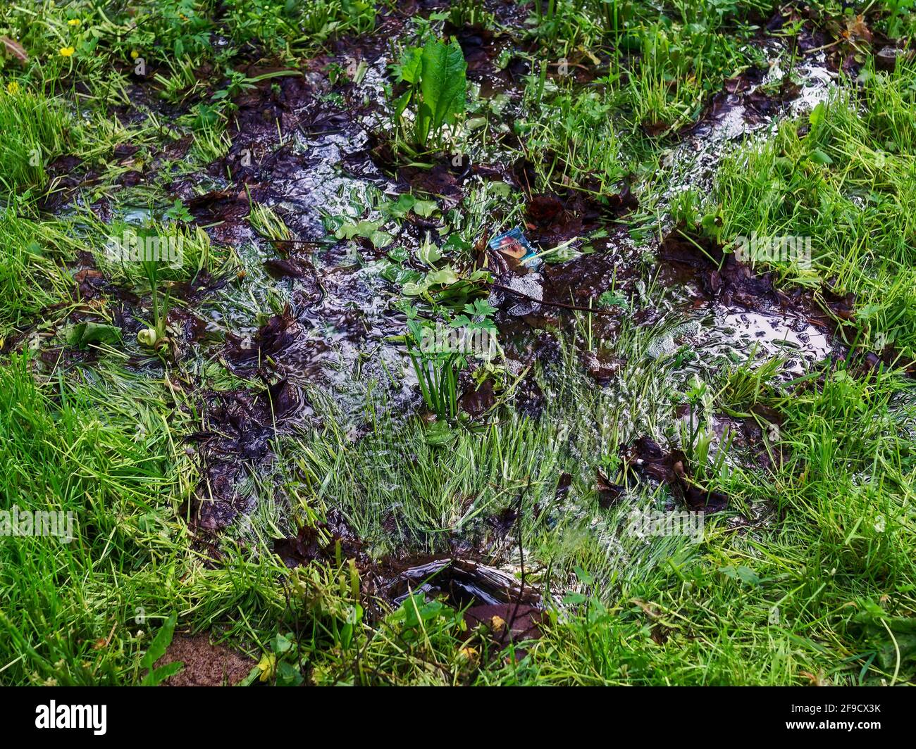 water flow in the park in the drain ditch, in summer Stock Photo - Alamy