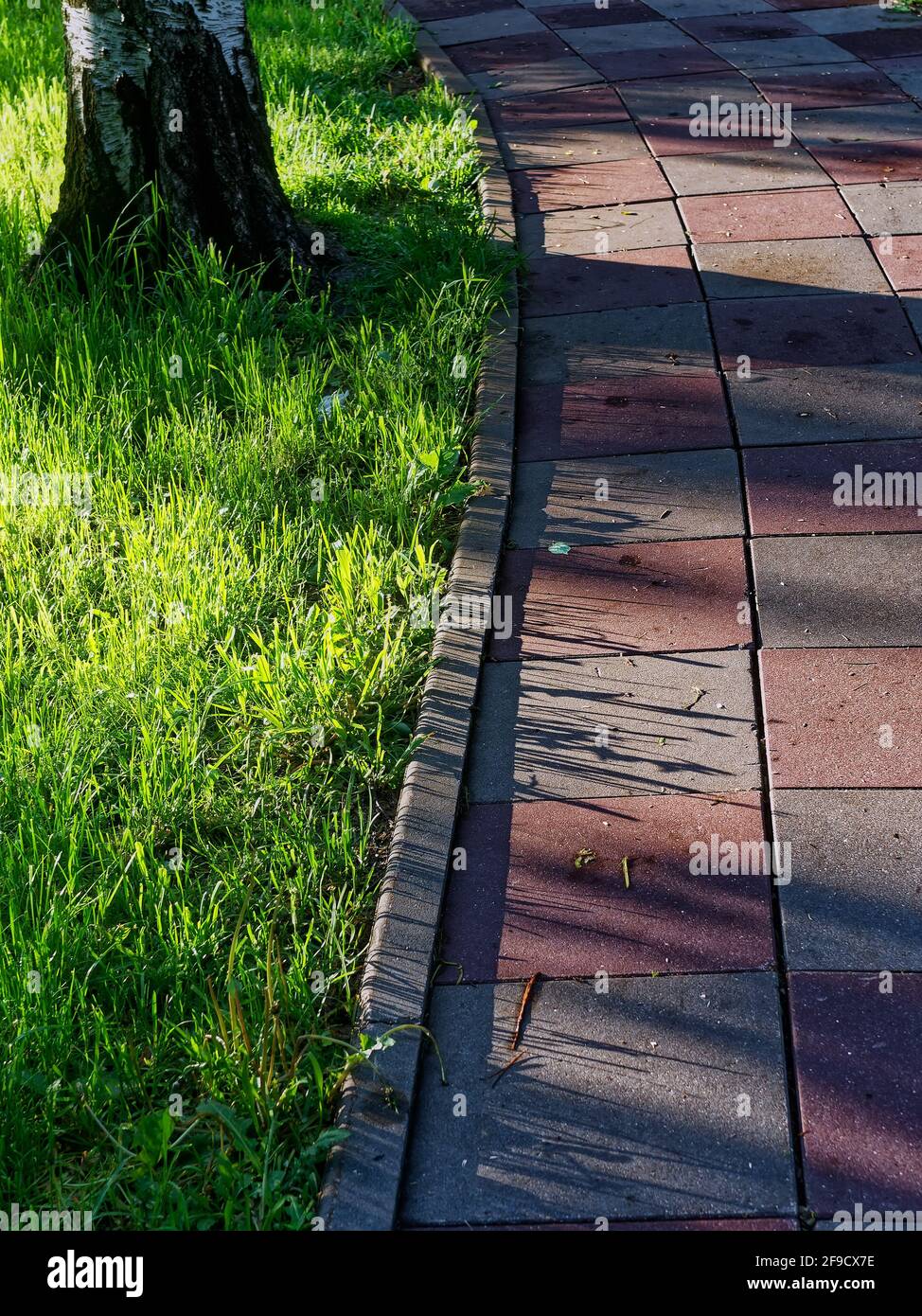 Park walk tiles floor hi-res stock photography and images - Alamy