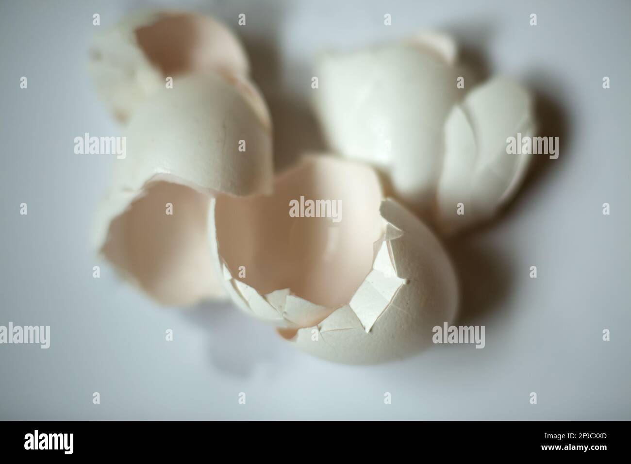 Leftover eggshell close-up on a white background Stock Photo - Alamy