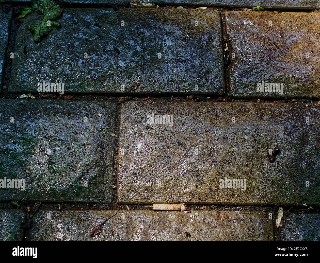 Park walk tiles floor hi-res stock photography and images - Alamy