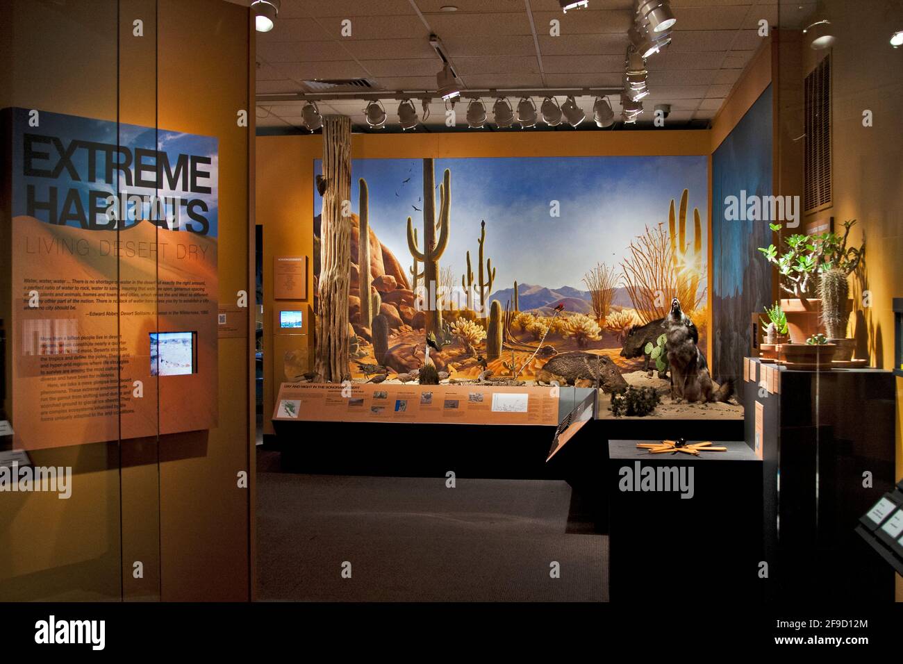 Greenwich Connecticut, Bruce Museum Stock Photo - Alamy