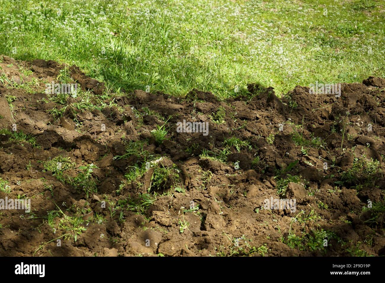 08 april 2021 hi-res stock photography and images - Alamy