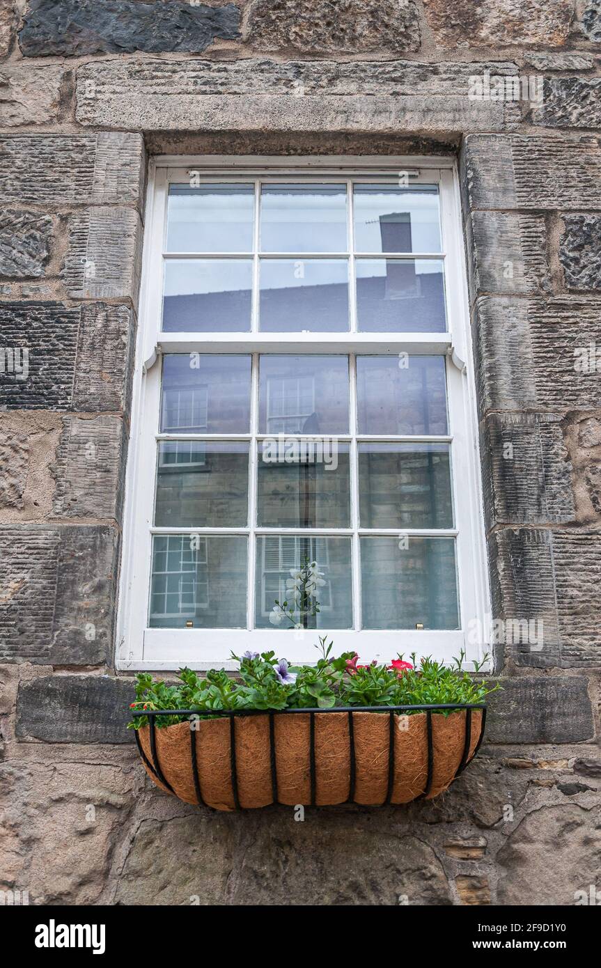 Scottish house window, with flower pot and reflections. Concept ...