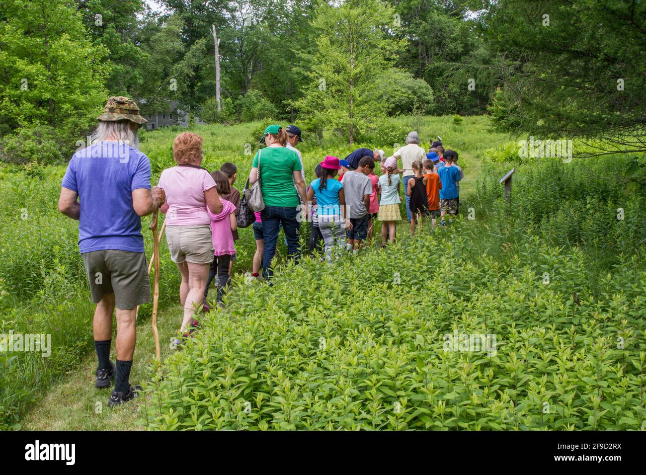 Children learning about nature with a trained naturalist Stock Photo ...
