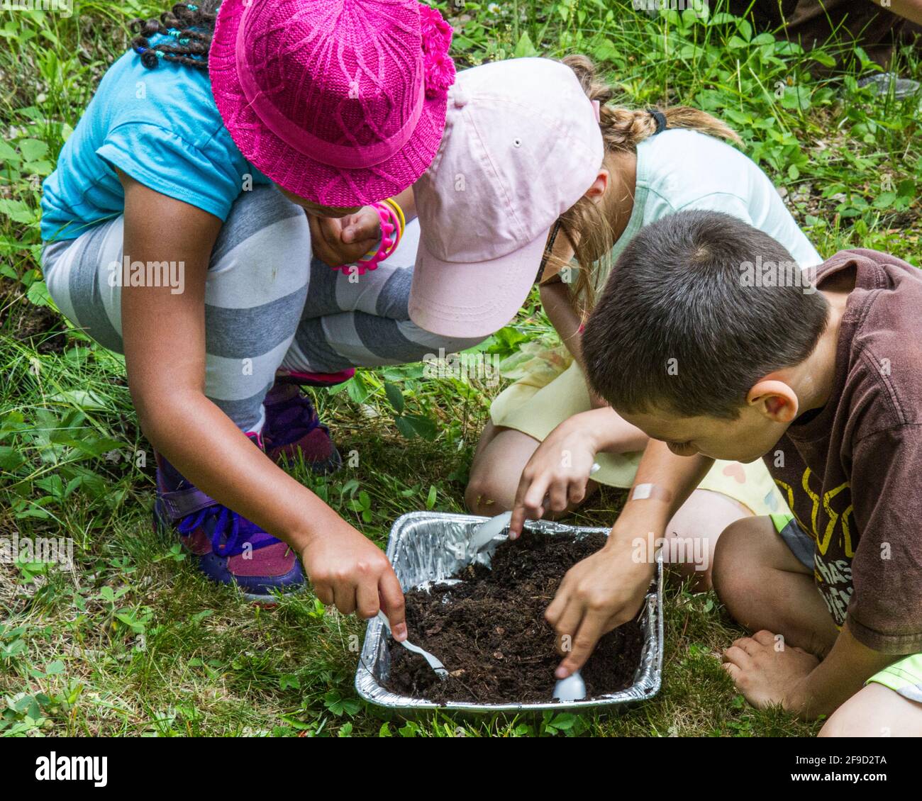 Children learning about nature with a trained naturalist Stock Photo ...