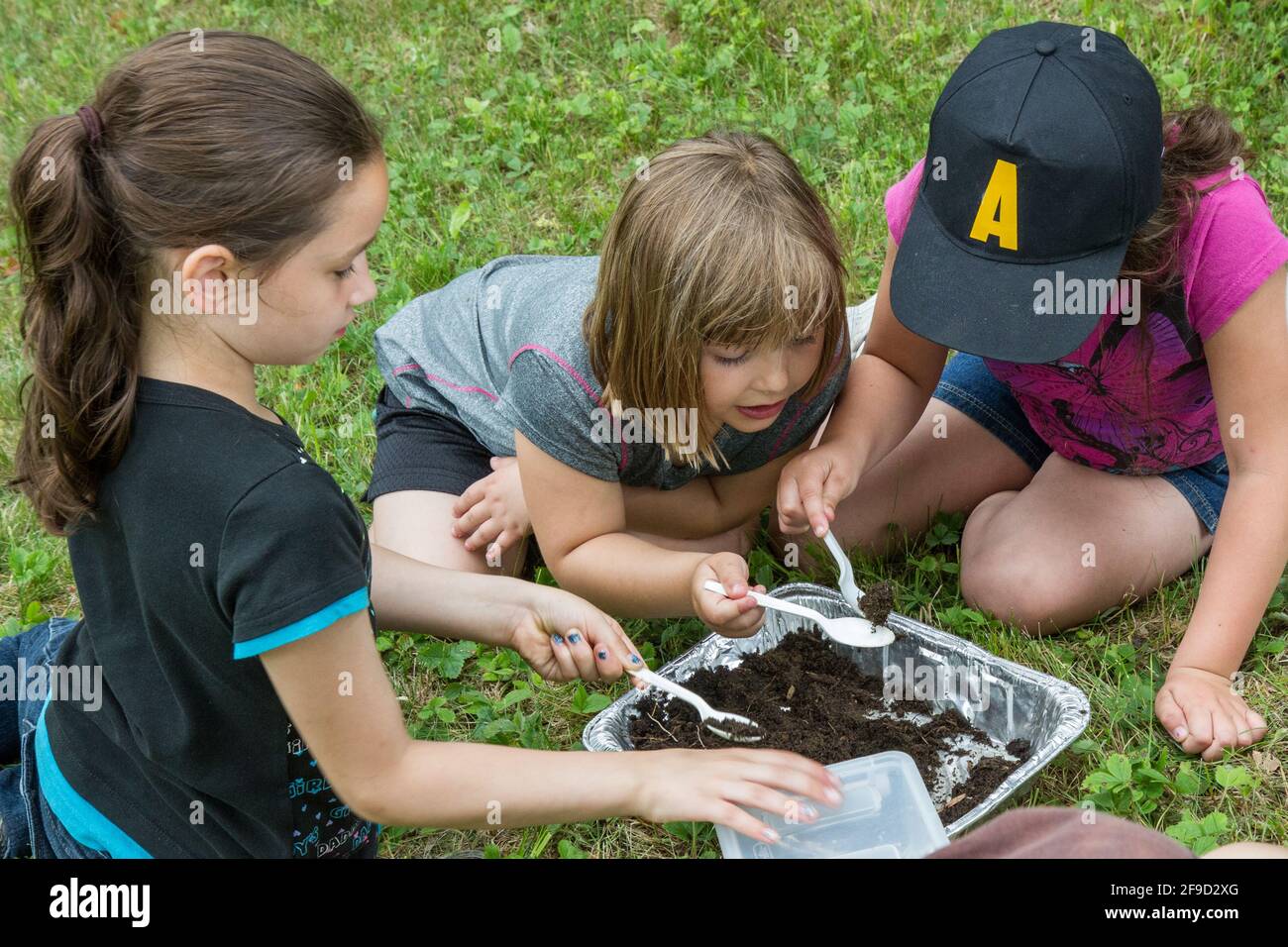 Children learning about nature with a trained naturalist Stock Photo ...