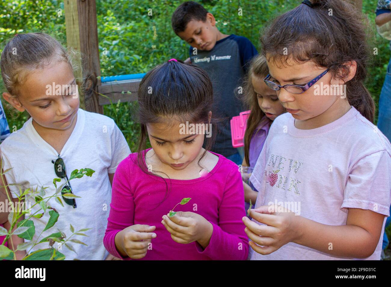 Children learning about nature with a trained naturalist Stock Photo ...