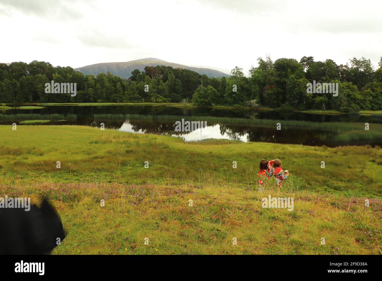 Loch insh outdoor hi-res stock photography and images - Alamy
