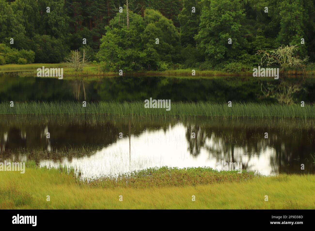 Loch insh outdoor hi-res stock photography and images - Alamy