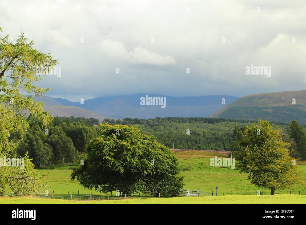 Loch insh outdoor hi-res stock photography and images - Alamy