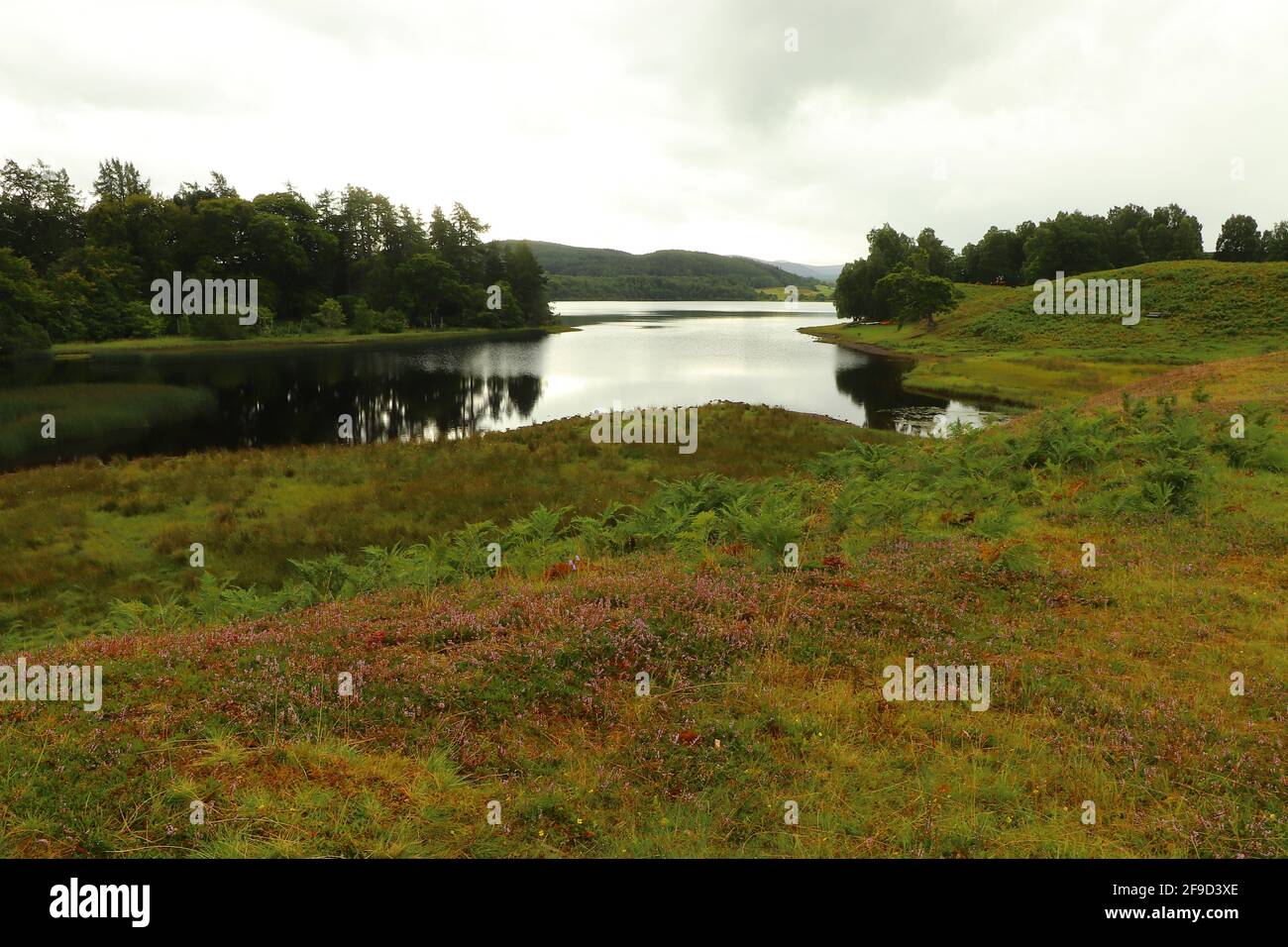Loch insh outdoor hi-res stock photography and images - Alamy