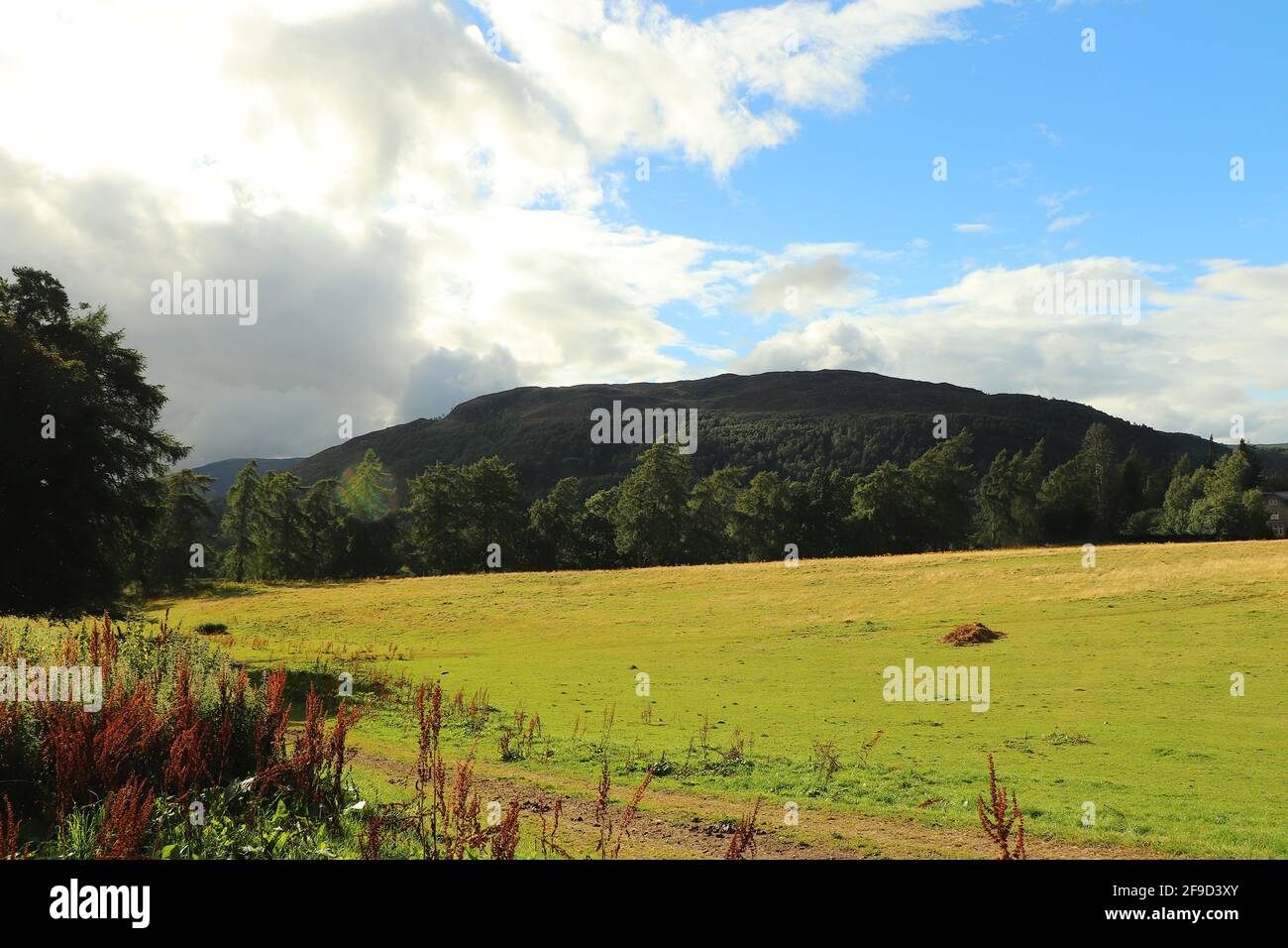 Loch insh outdoor hi-res stock photography and images - Alamy