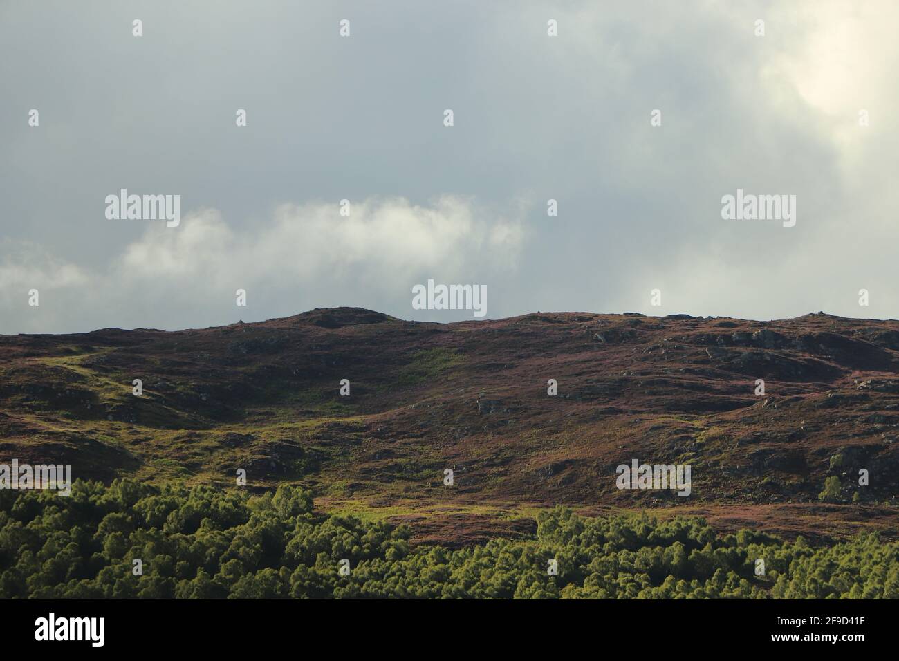 Loch insh outdoor hi-res stock photography and images - Alamy