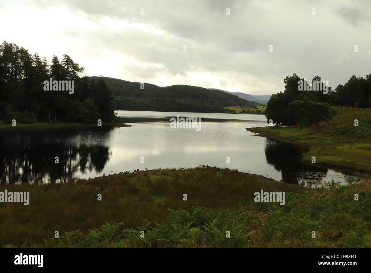 In and around Loch Insh Stock Photo - Alamy