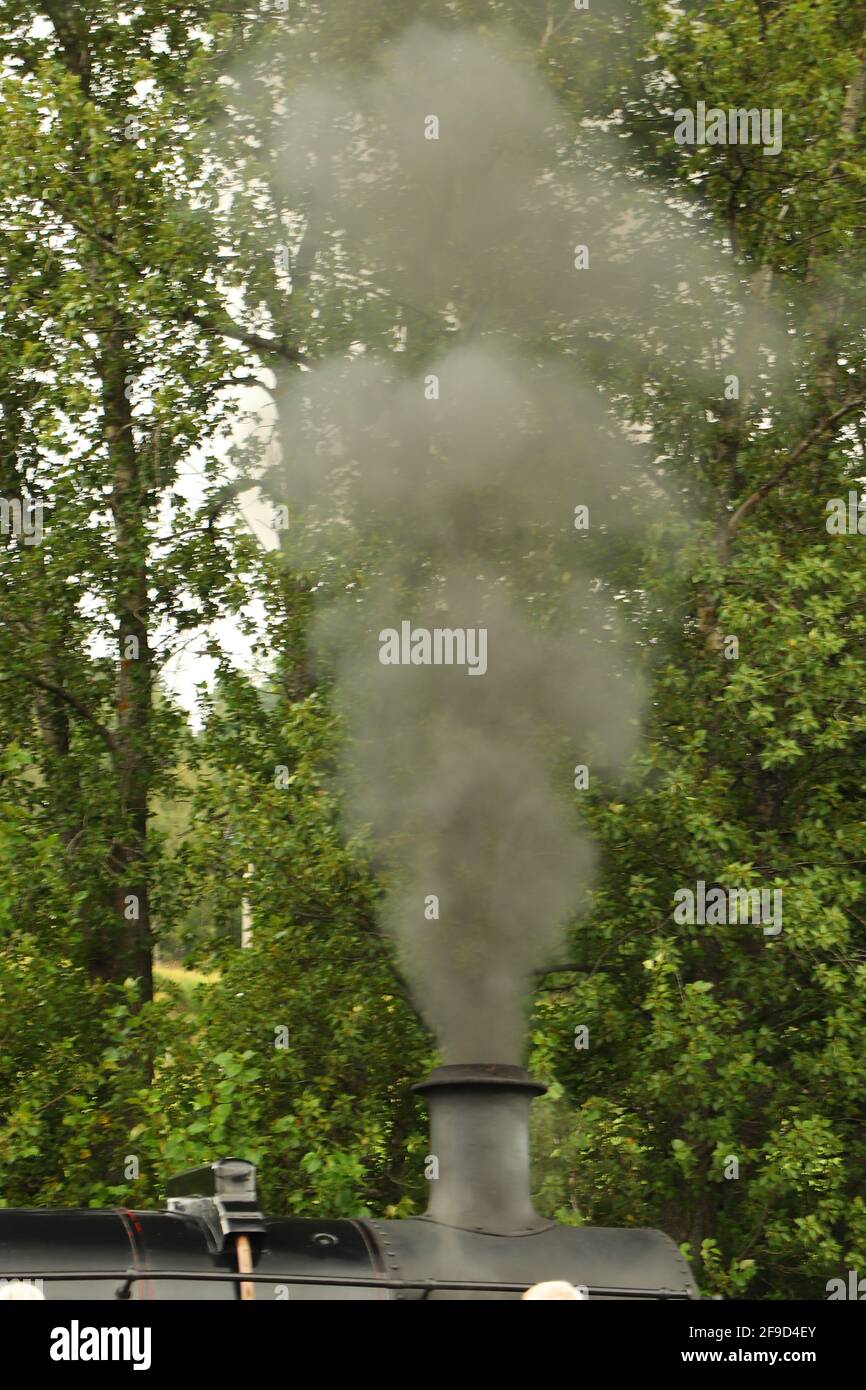 Steam locomotive full of coal running on a track through the ...