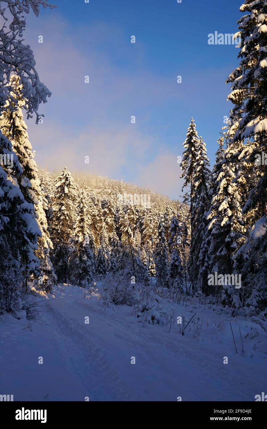 Magic sunlight hi-res stock photography and images - Alamy