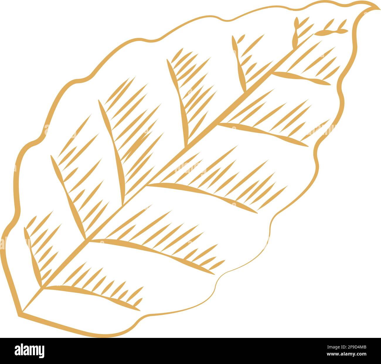 Isolated sketch of a leaf - Vector illustration Stock Vector Image ...