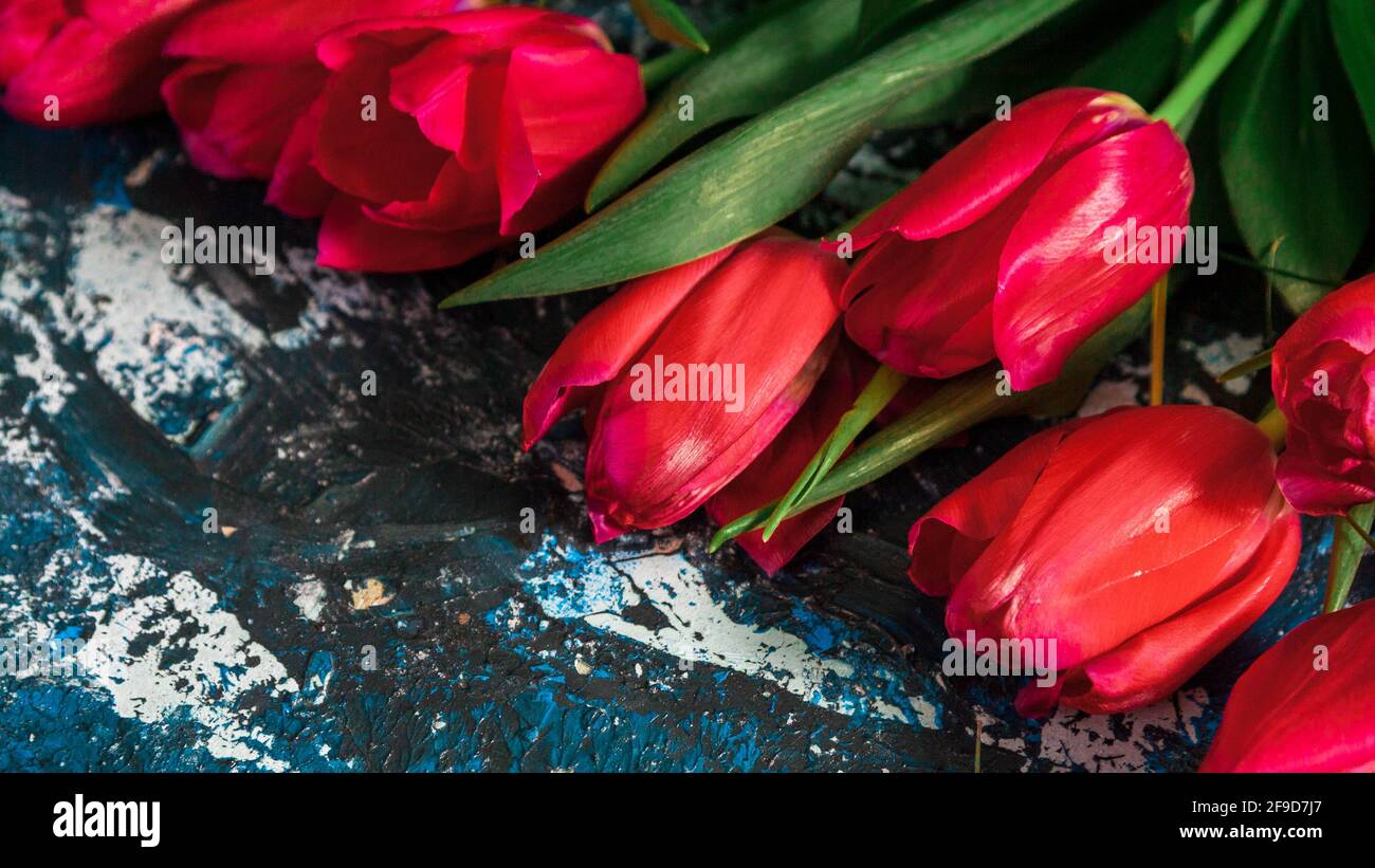 Beautiful vintage background of wildflowers. Delicate flowers close-up ...