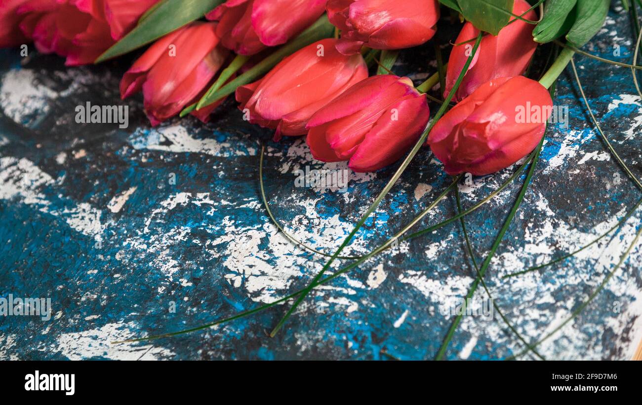Beautiful vintage background of wildflowers. Delicate flowers close-up ...