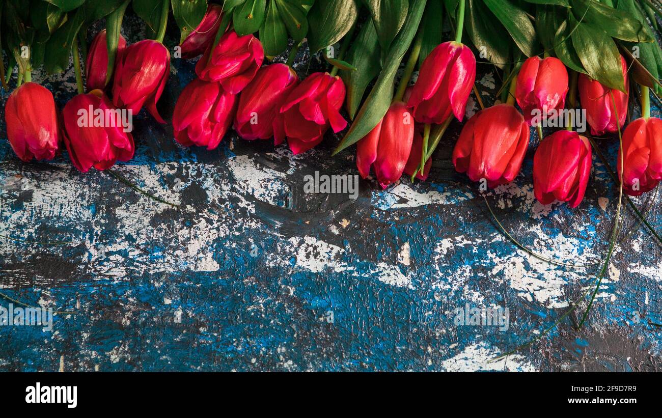 Beautiful vintage background of wildflowers. Delicate flowers close-up ...