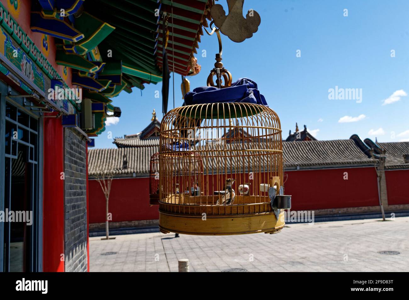 City of hohhot hi-res stock photography and images - Alamy
