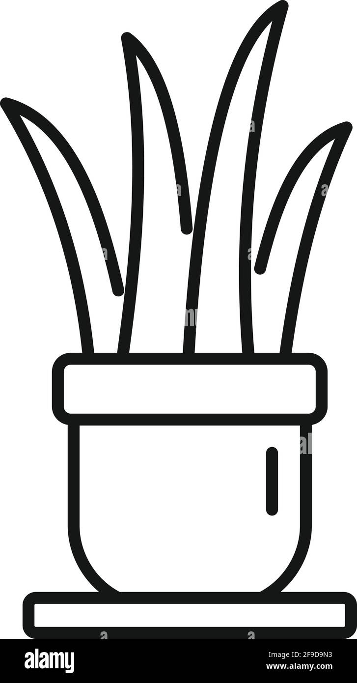 Bird of paradise plant home Cut Out Stock Images & Pictures - Alamy