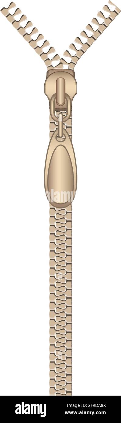 Fashion zipper icon, cartoon style Stock Vector Image & Art - Alamy