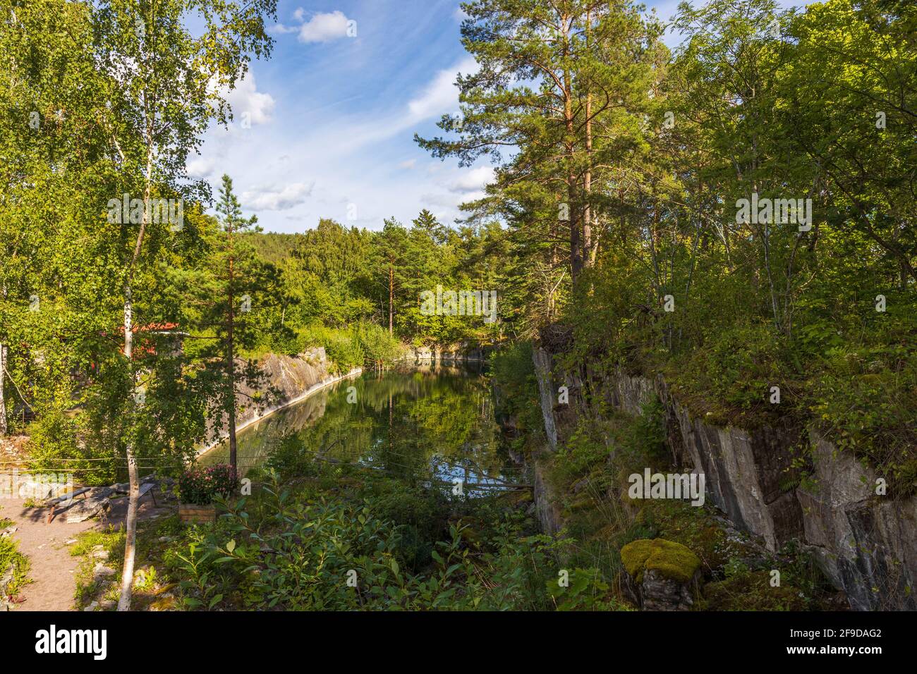 Beautiful nature landscape view. Rocky coast and tall pine trees on ...