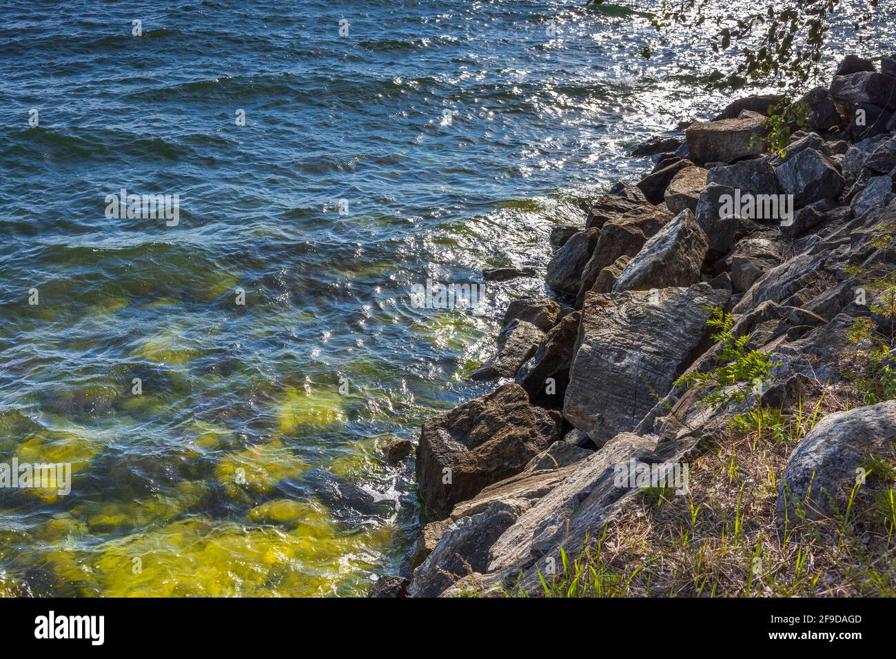 Beautiful view of coast line of Baltic sea. Gorgeous nature landscape ...