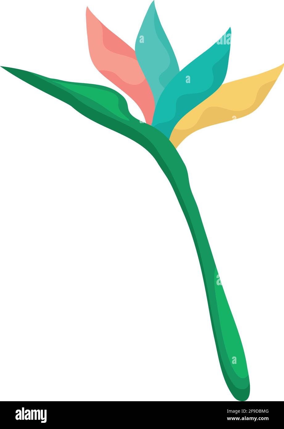 Orange heliconia plant Stock Vector Images - Alamy