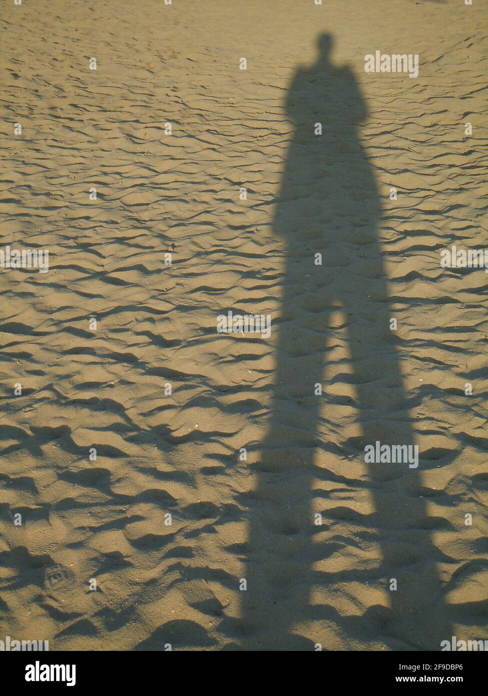 Shadow of a person standing on a sandy beach Stock Photo - Alamy
