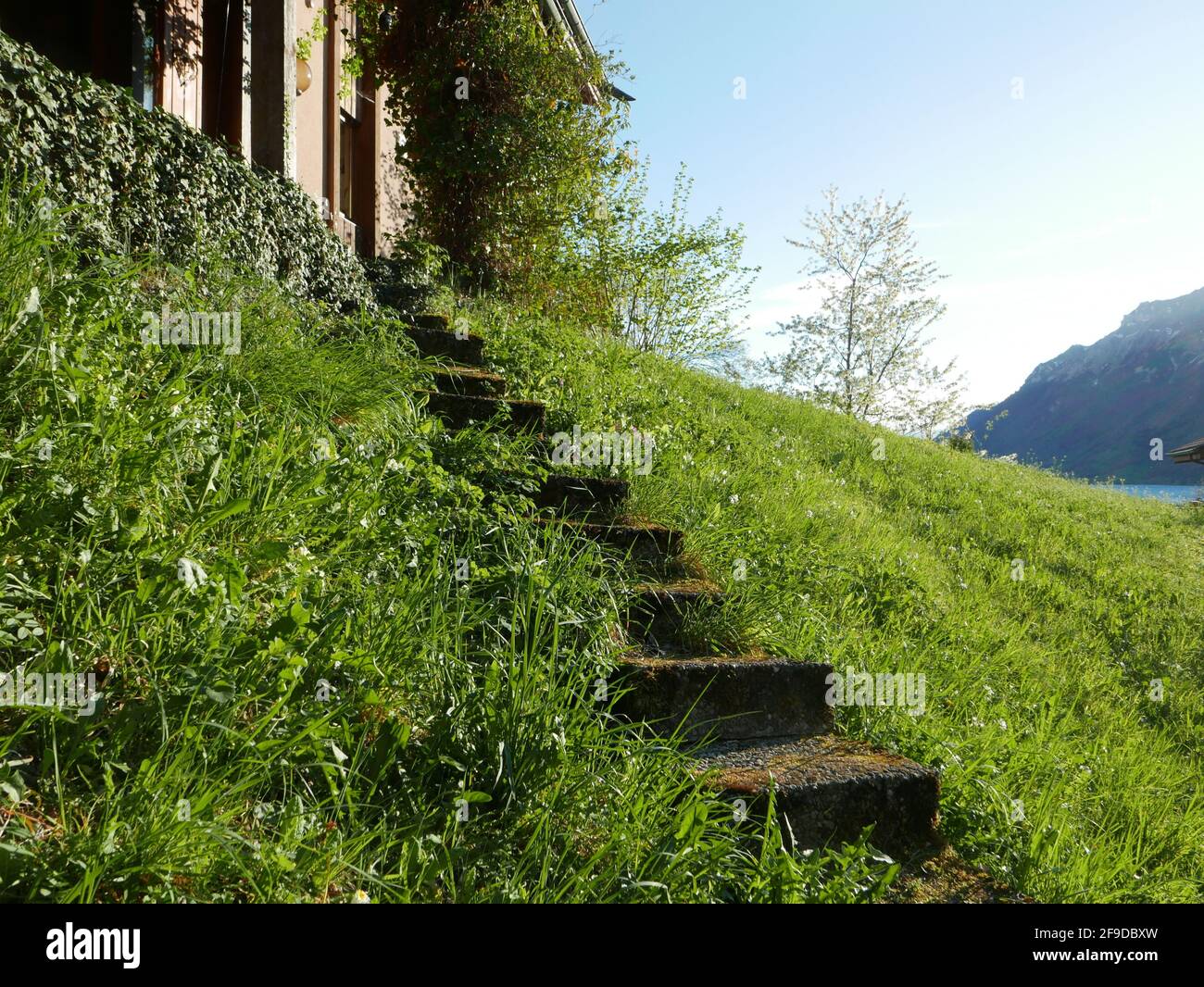 Stairway to a mountain house Stock Photo - Alamy