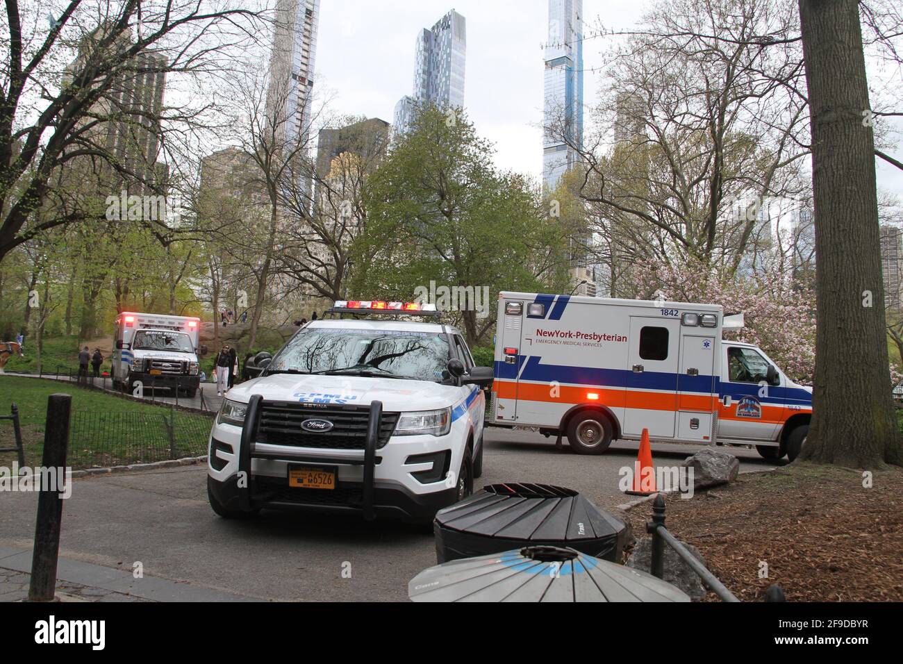 New York, USA. 17th Apr, 2021. (NEW) A boy fell from a tree at Central ...