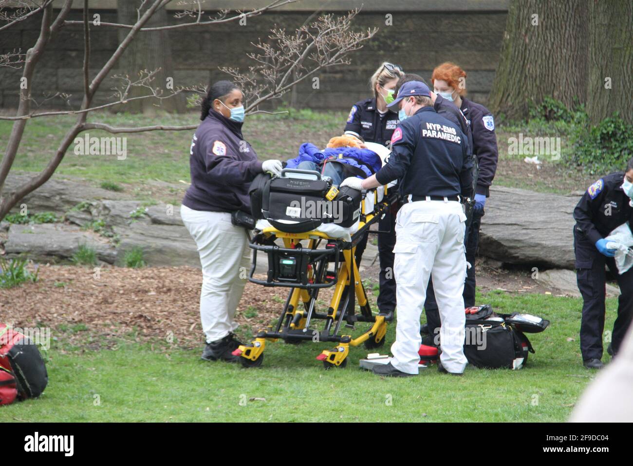 New York, USA. 17th Apr, 2021. (NEW) A boy fell from a tree at Central ...