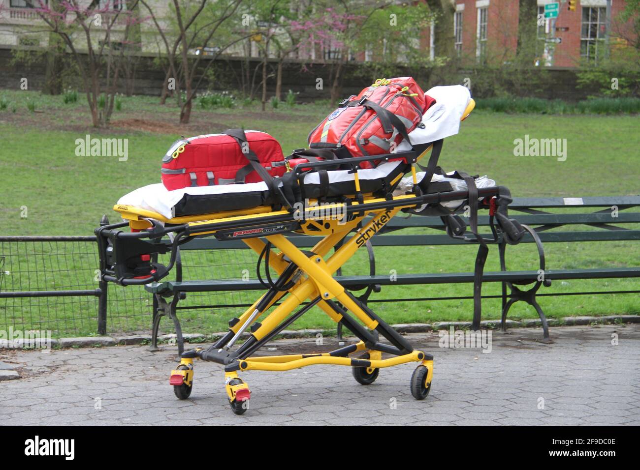New York, USA. 17th Apr, 2021. (NEW) A boy fell from a tree at Central ...
