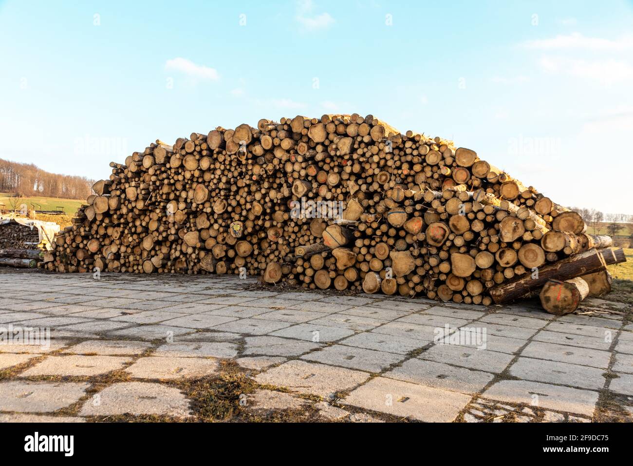 Cutted wood hi-res stock photography and images - Alamy