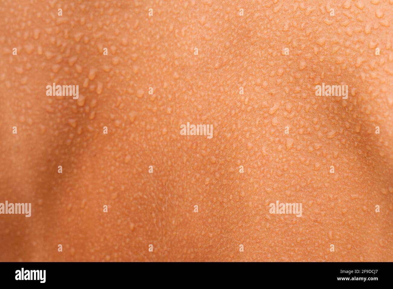 Wet skin hi-res stock photography and images - Alamy