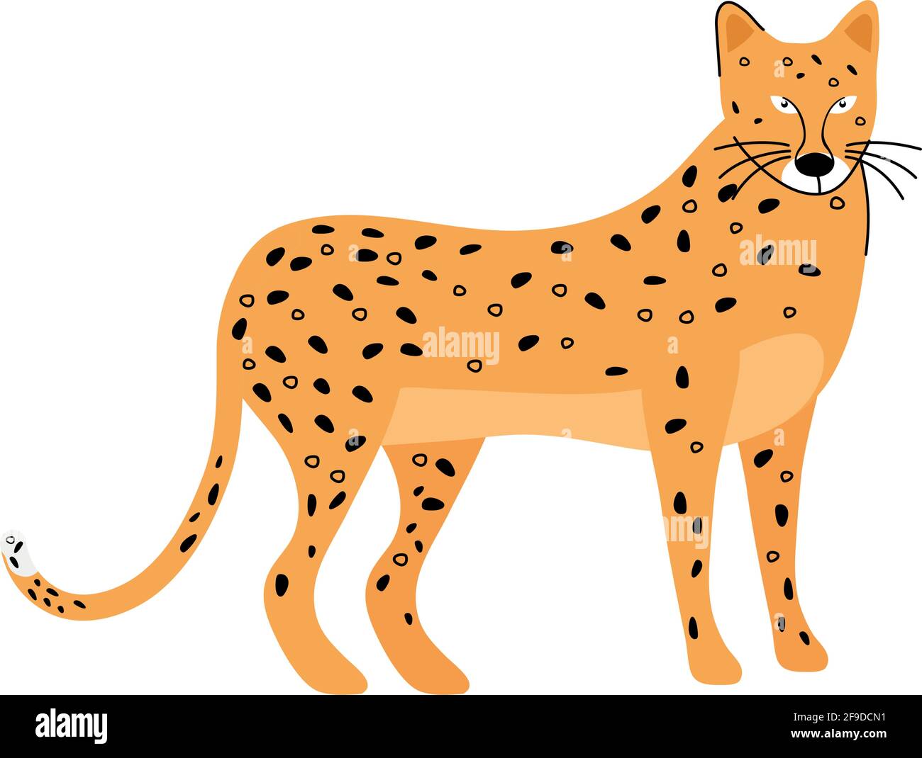 cheetah feline animal Stock Vector Image & Art - Alamy