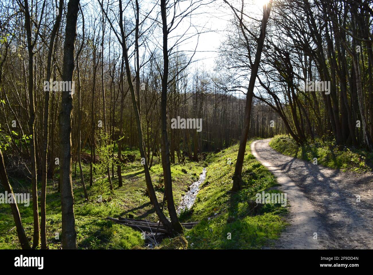 Views from the Ightham Mote estate, in Kent, April, spring. An area of ...