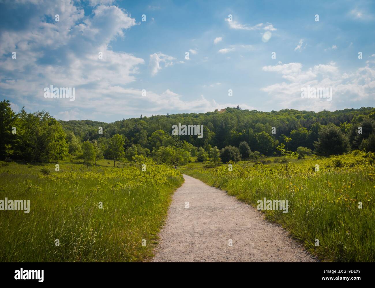 Hike on a Summer Day Stock Photo - Alamy