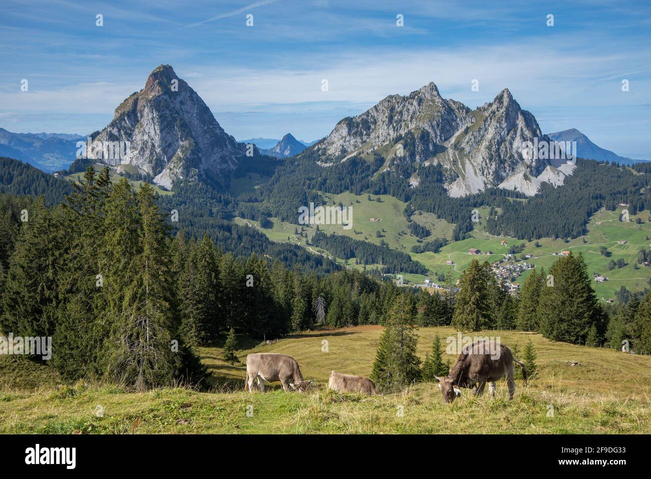 Mesmerizing countryside view of tree-covered hills and tall, sharp ...